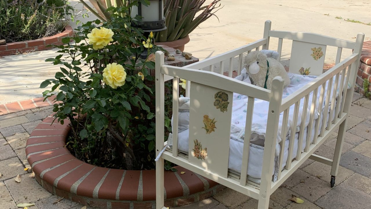 Echoes of the Death of Jarrett, Our Infant Son - Writing In The Shade ...