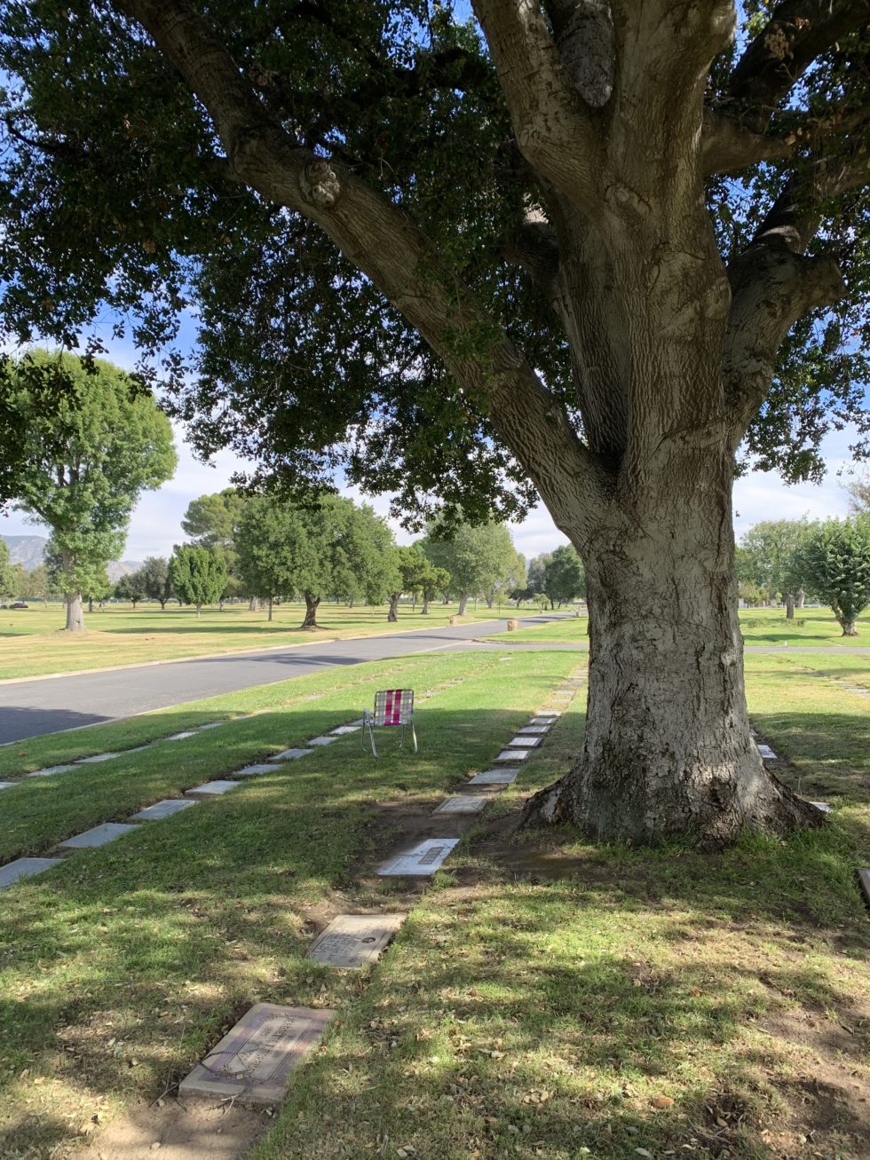 A Long Lament that I Wrote in the Cemetery, as Thanksgiving Approached ...